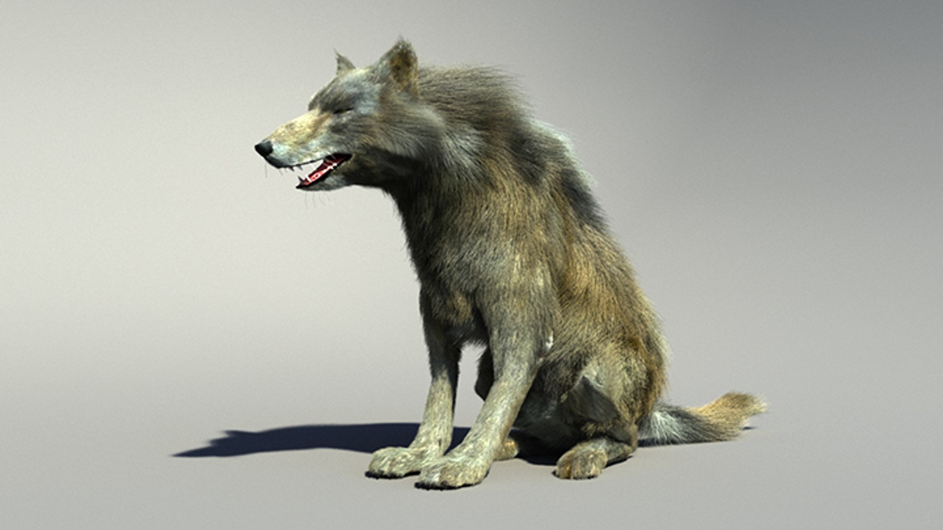 3D model timber wolf hair fur - TurboSquid 1239802