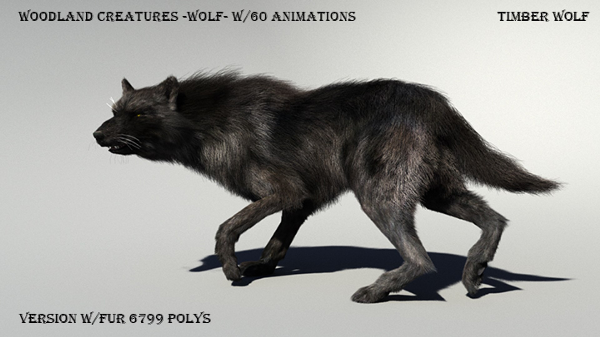 3D Model Timber Wolf Hair Fur - TurboSquid 1239802