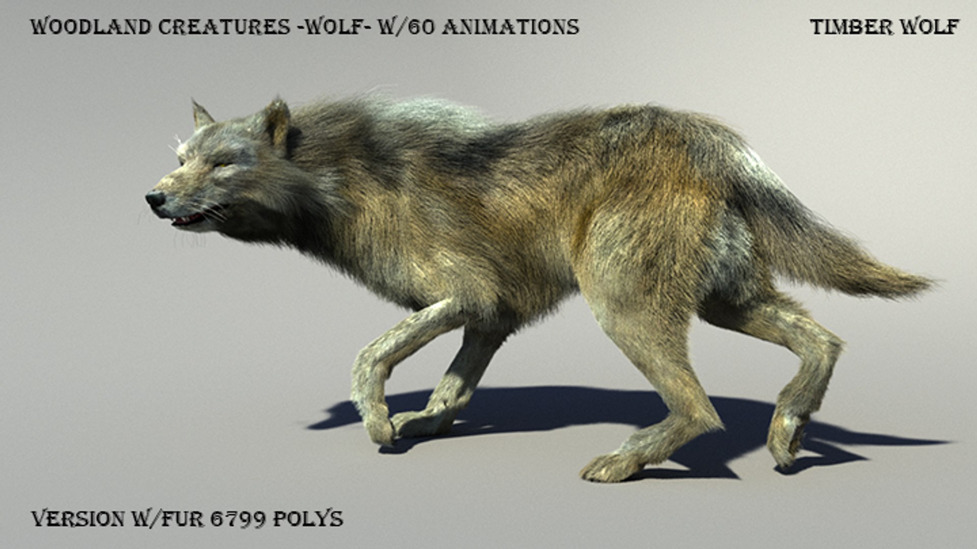 3D Model Timber Wolf Hair Fur - TurboSquid 1239802