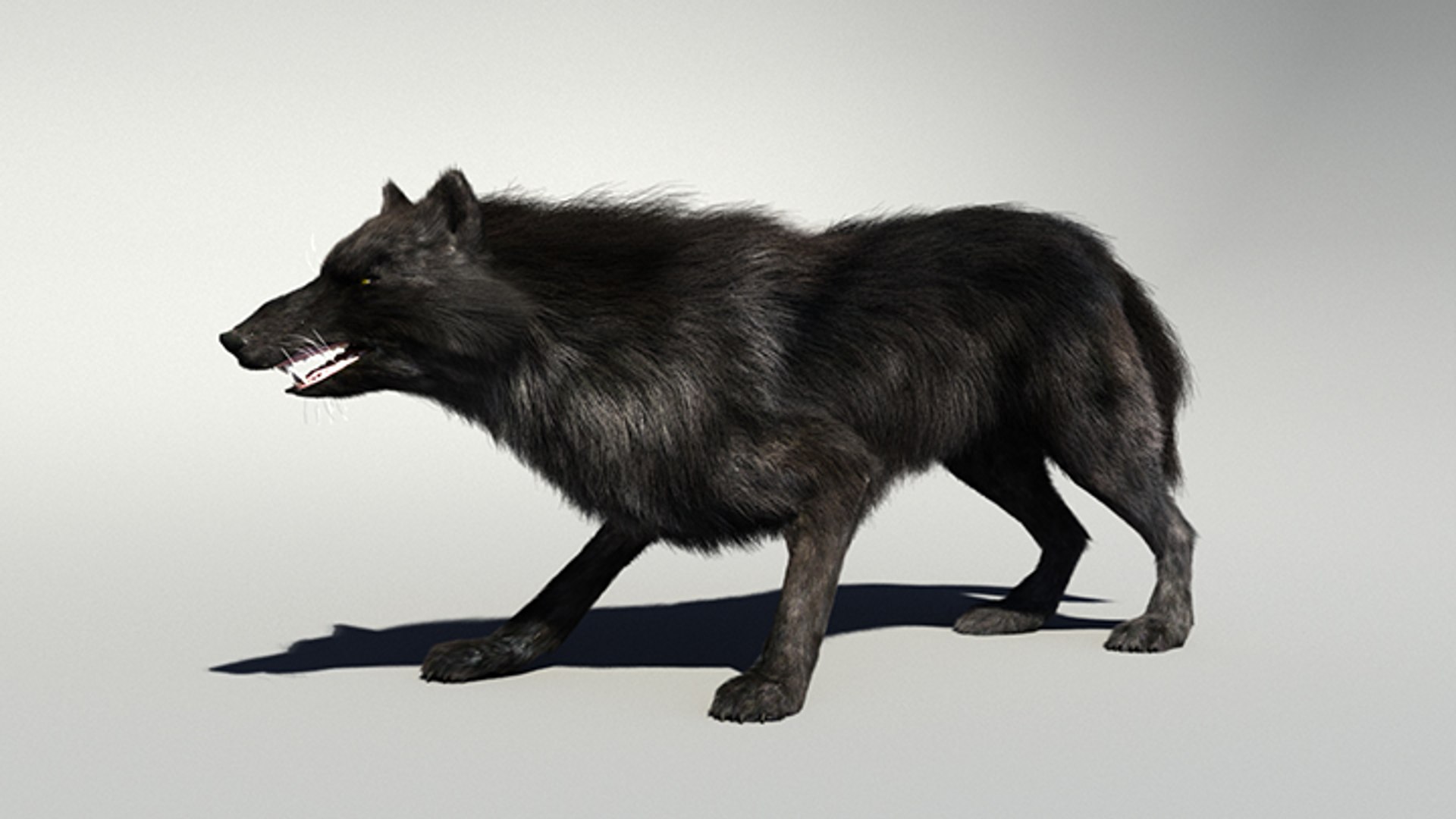 3D Model Timber Wolf Hair Fur - TurboSquid 1239802