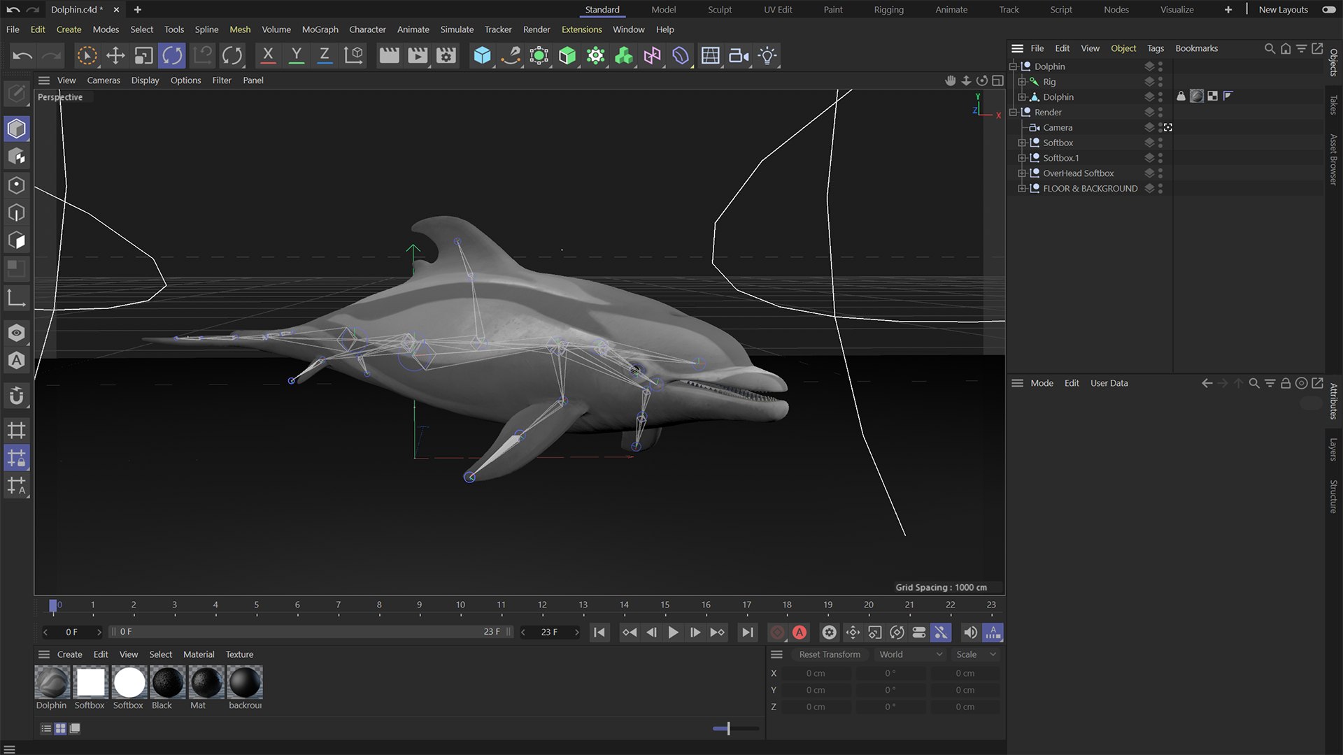 3D Dolphin Model - TurboSquid 2369847