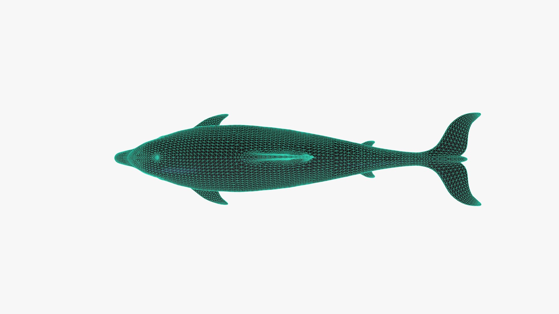 3D Dolphin Model - TurboSquid 2369847