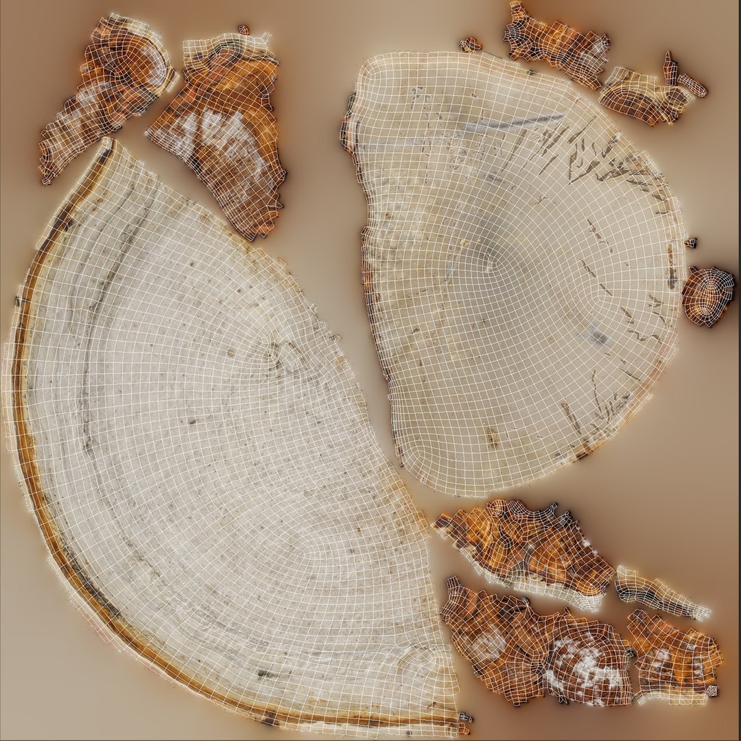 3D Fomes Fomentarius - TurboSquid 2219091