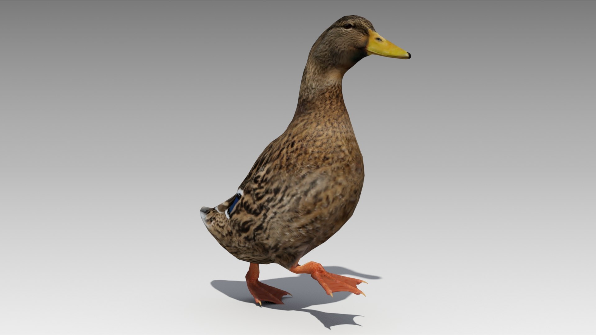 3D model mallard duck female - TurboSquid 1625343