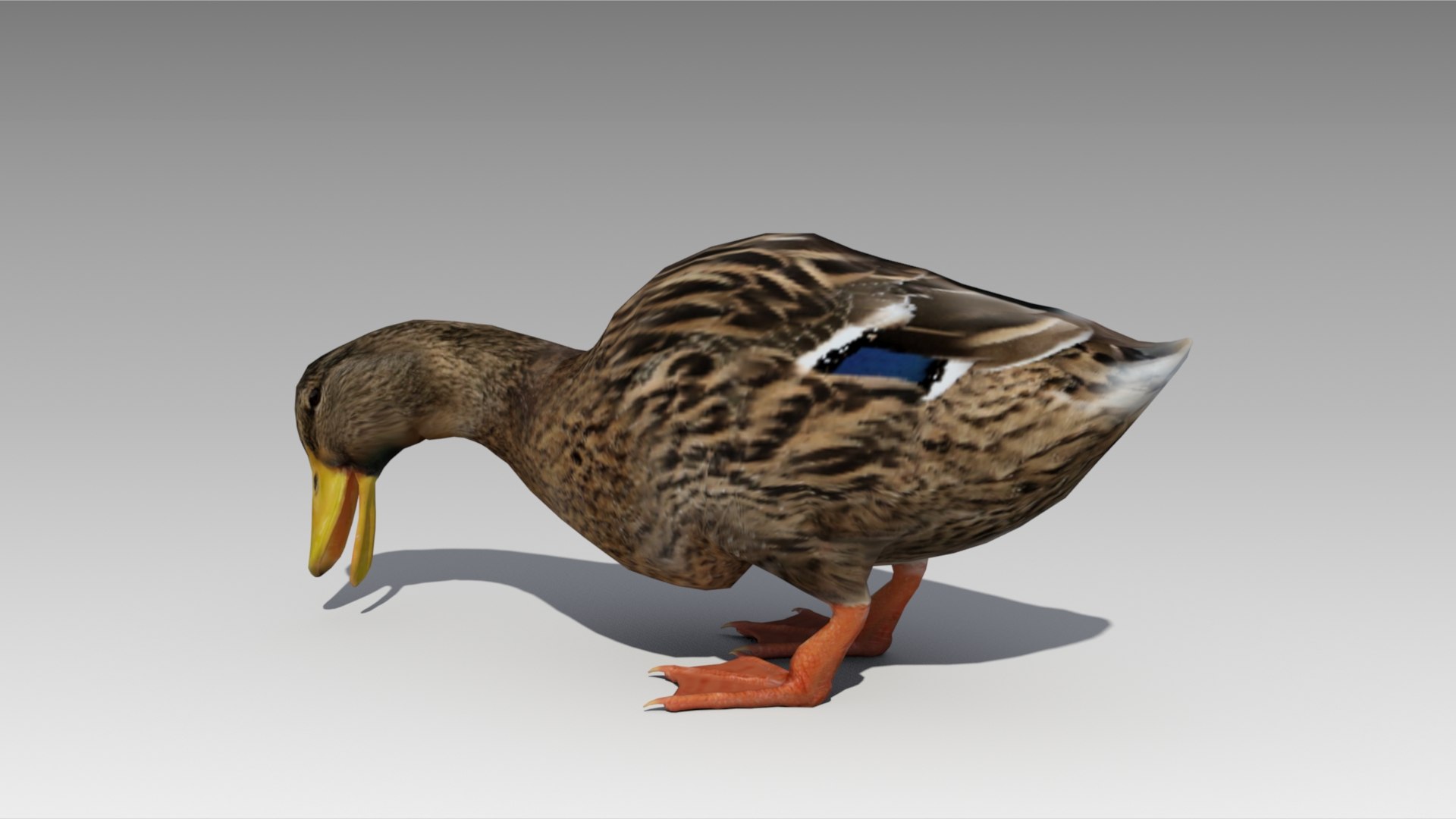 3D model mallard duck female - TurboSquid 1625343