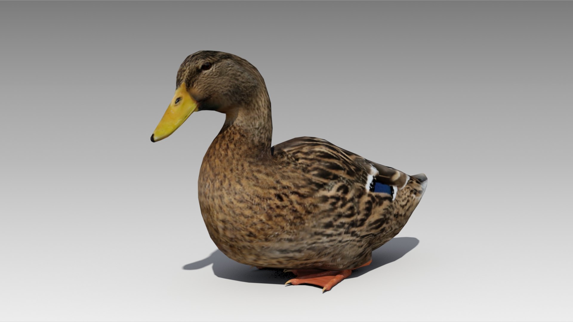 3D model mallard duck female - TurboSquid 1625343