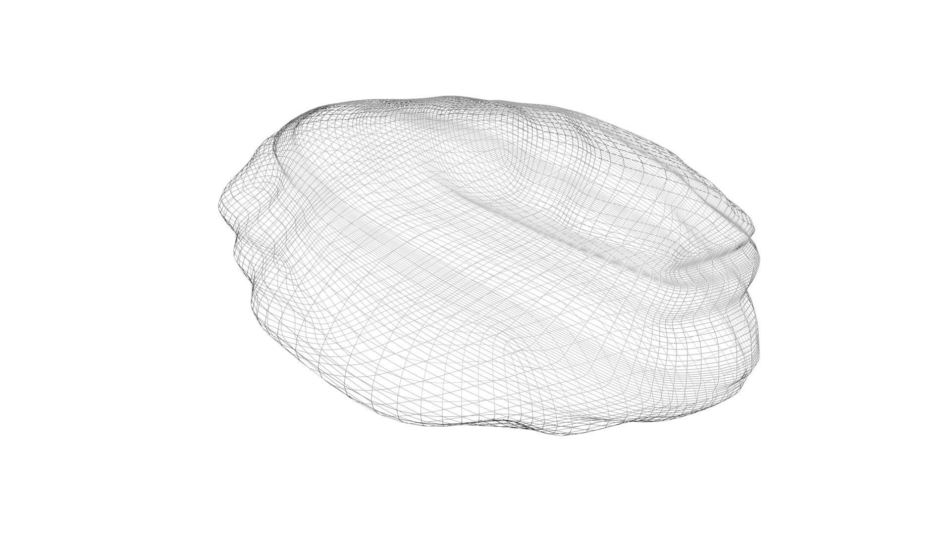 Raisin 3D Model - TurboSquid 1852158