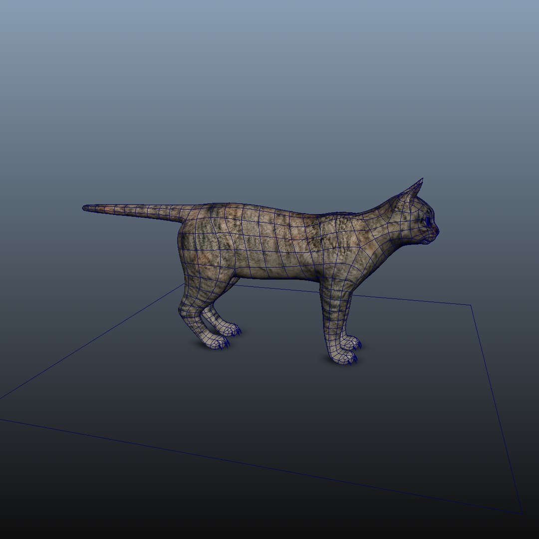 Cat Rig - 3D | 1144208 | TurboSquid