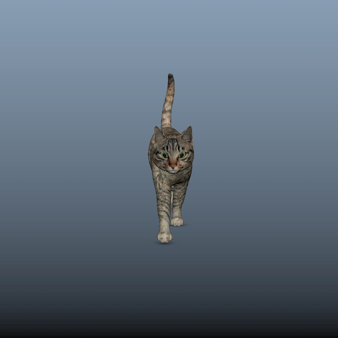 Cat Rig - 3D | 1144208 | TurboSquid