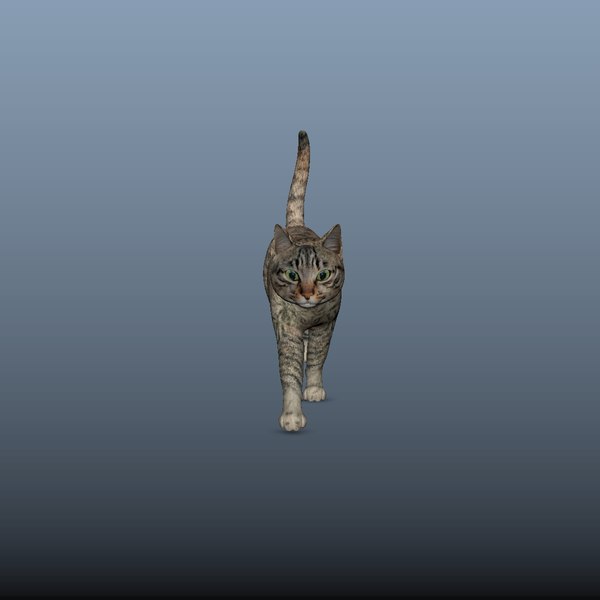 Cat rig - 3D | 1144208 | TurboSquid