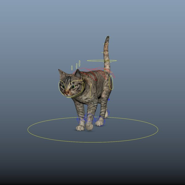 Cat rig - 3D | 1144208 | TurboSquid