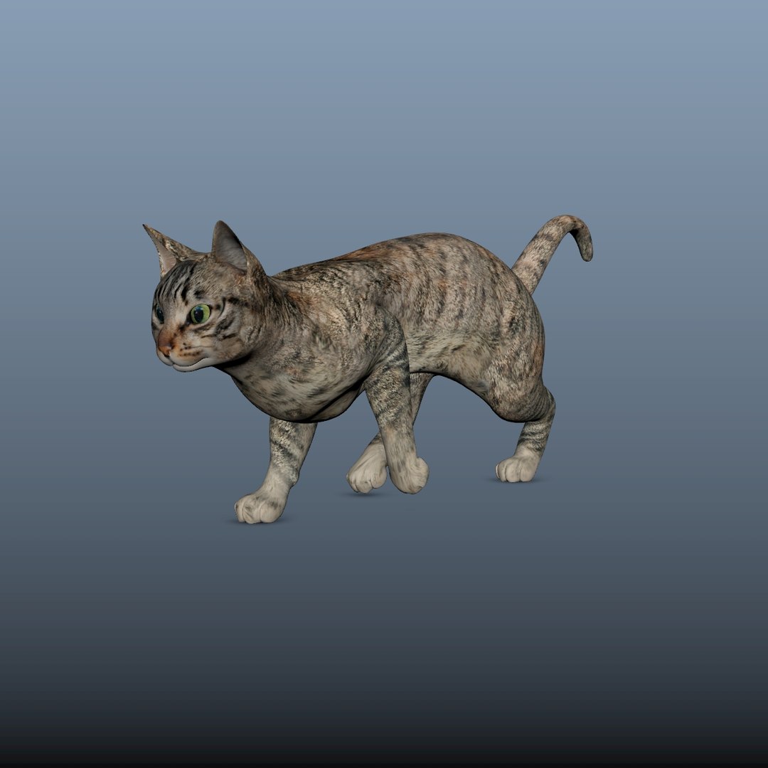 Cat Rig - 3D | 1144208 | TurboSquid