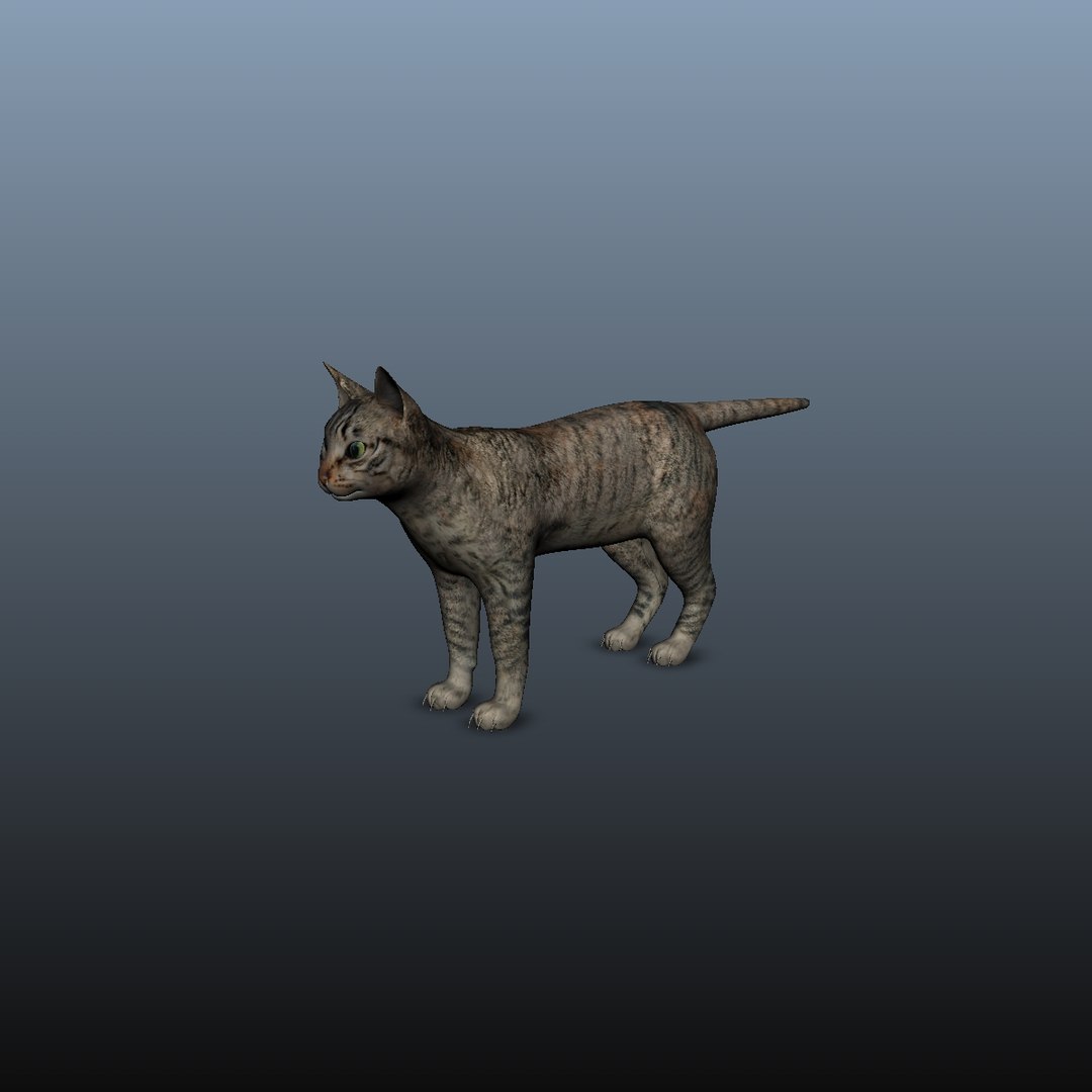 Cat Rig - 3D | 1144208 | TurboSquid