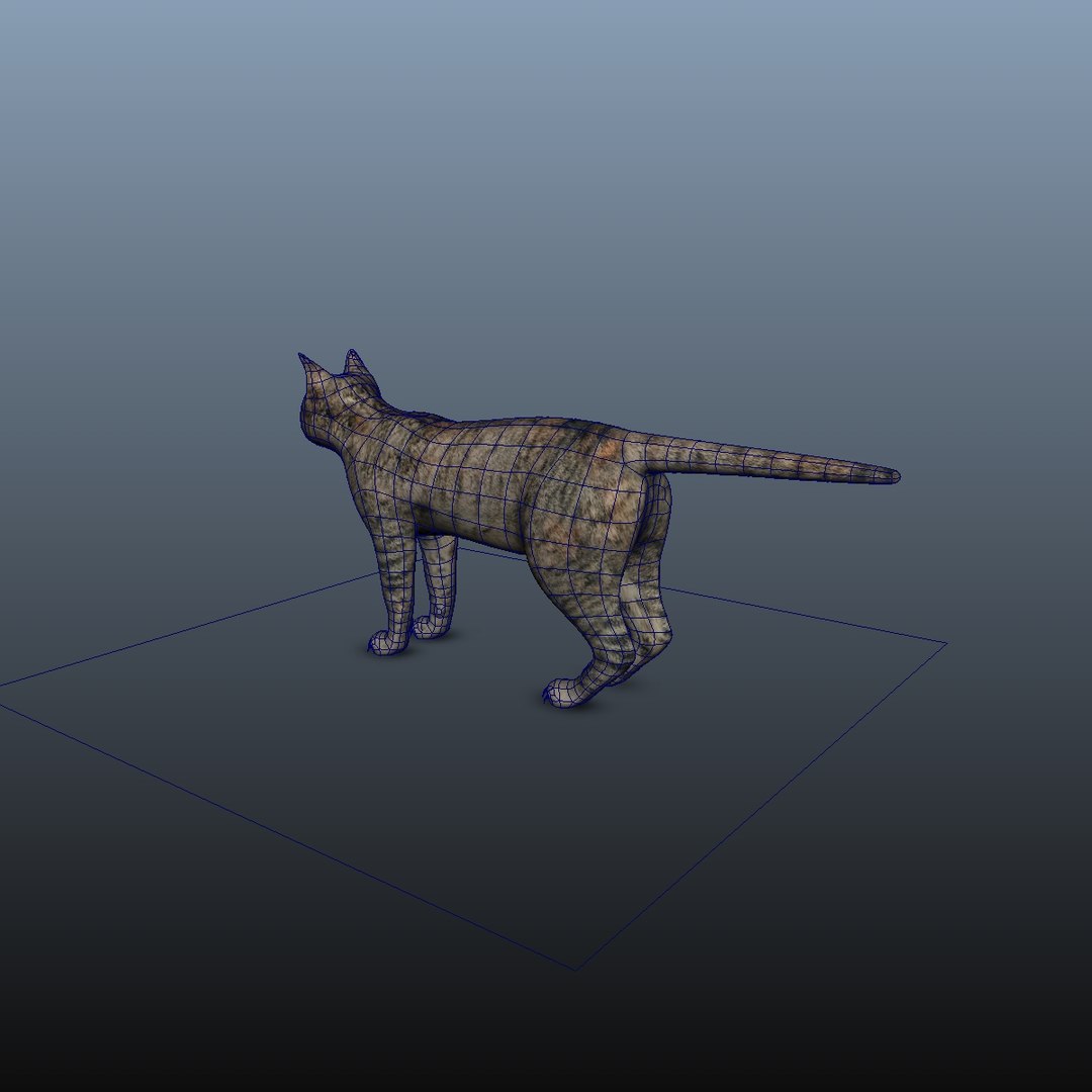 Cat Rig - 3D | 1144208 | TurboSquid