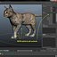 Cat Rig - 3D | 1144208 | TurboSquid