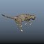 Cat Rig - 3D | 1144208 | TurboSquid
