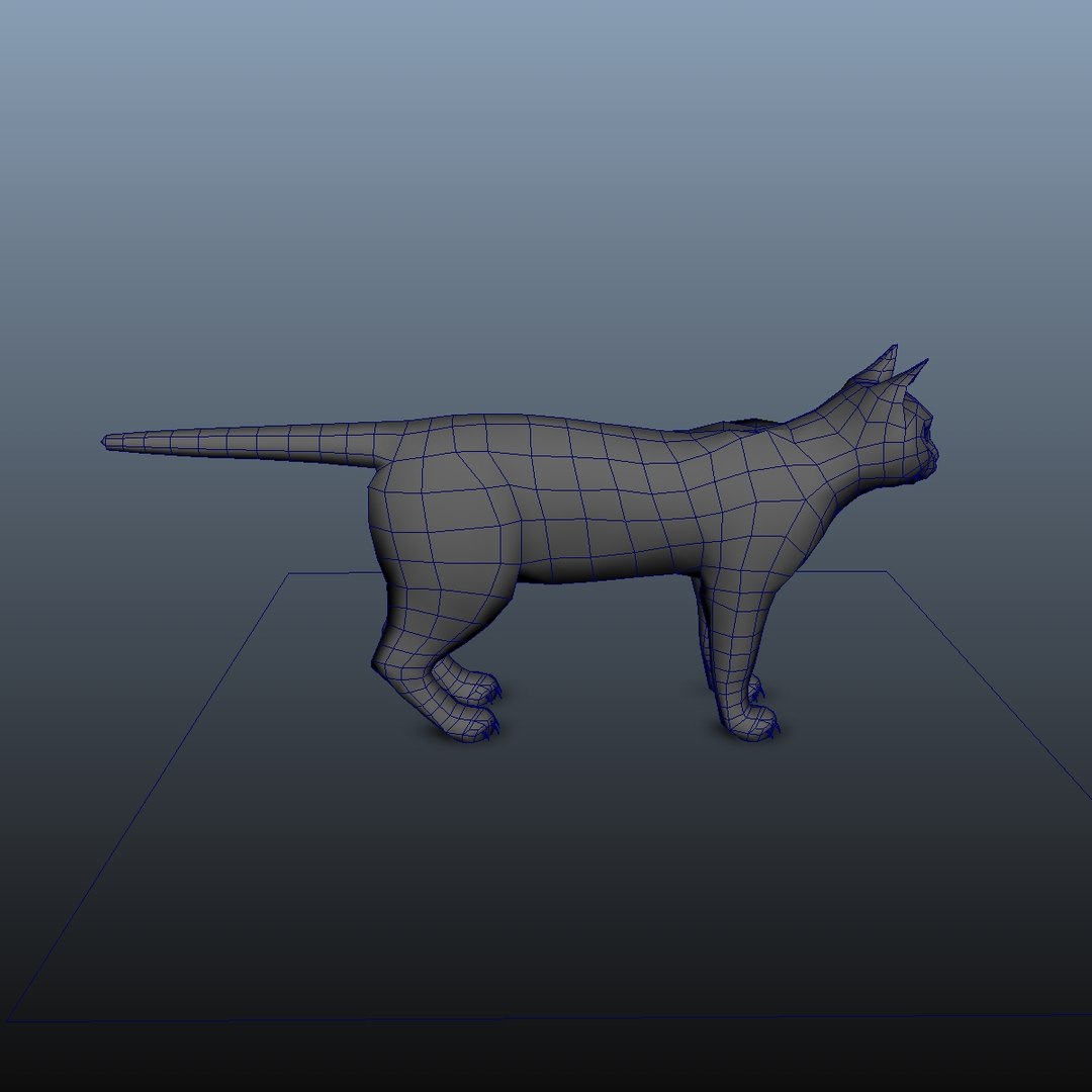 Cat Rig - 3D | 1144208 | TurboSquid