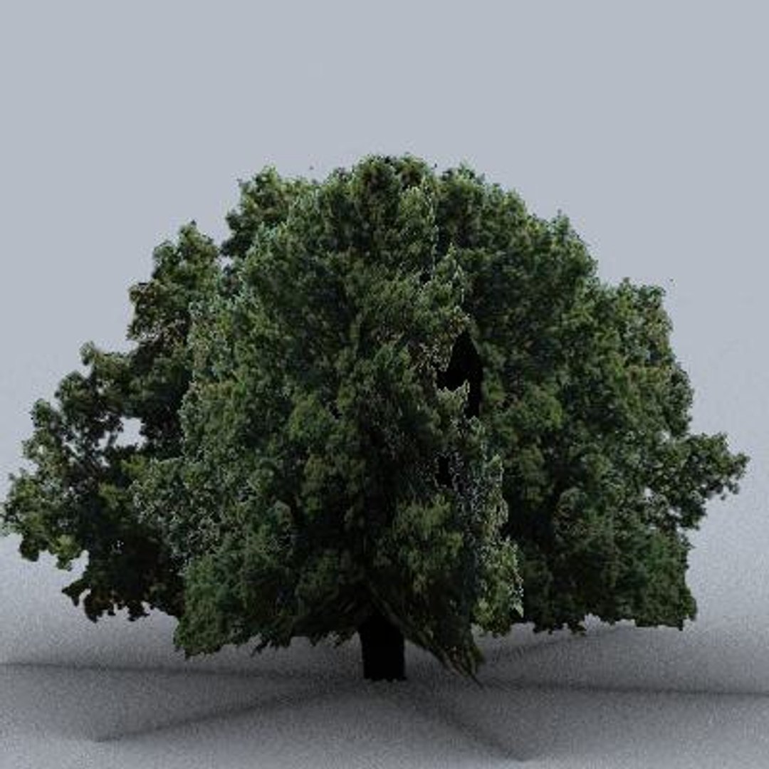 3d model trees