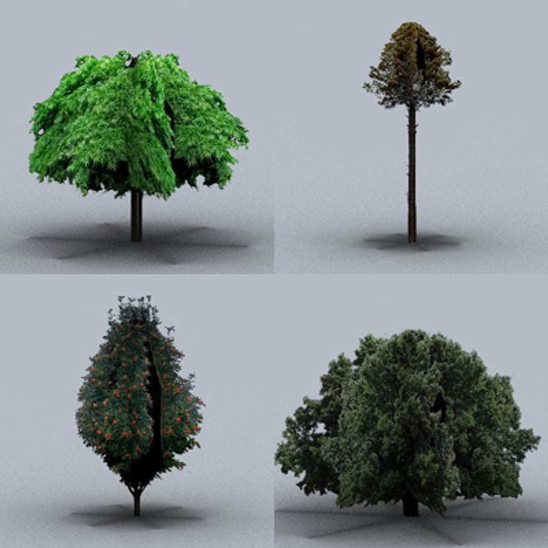 3d model trees
