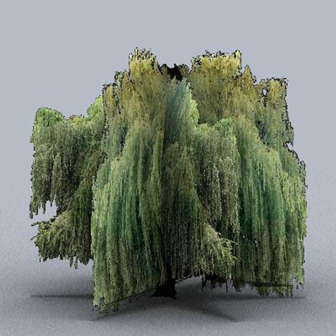 3d model trees