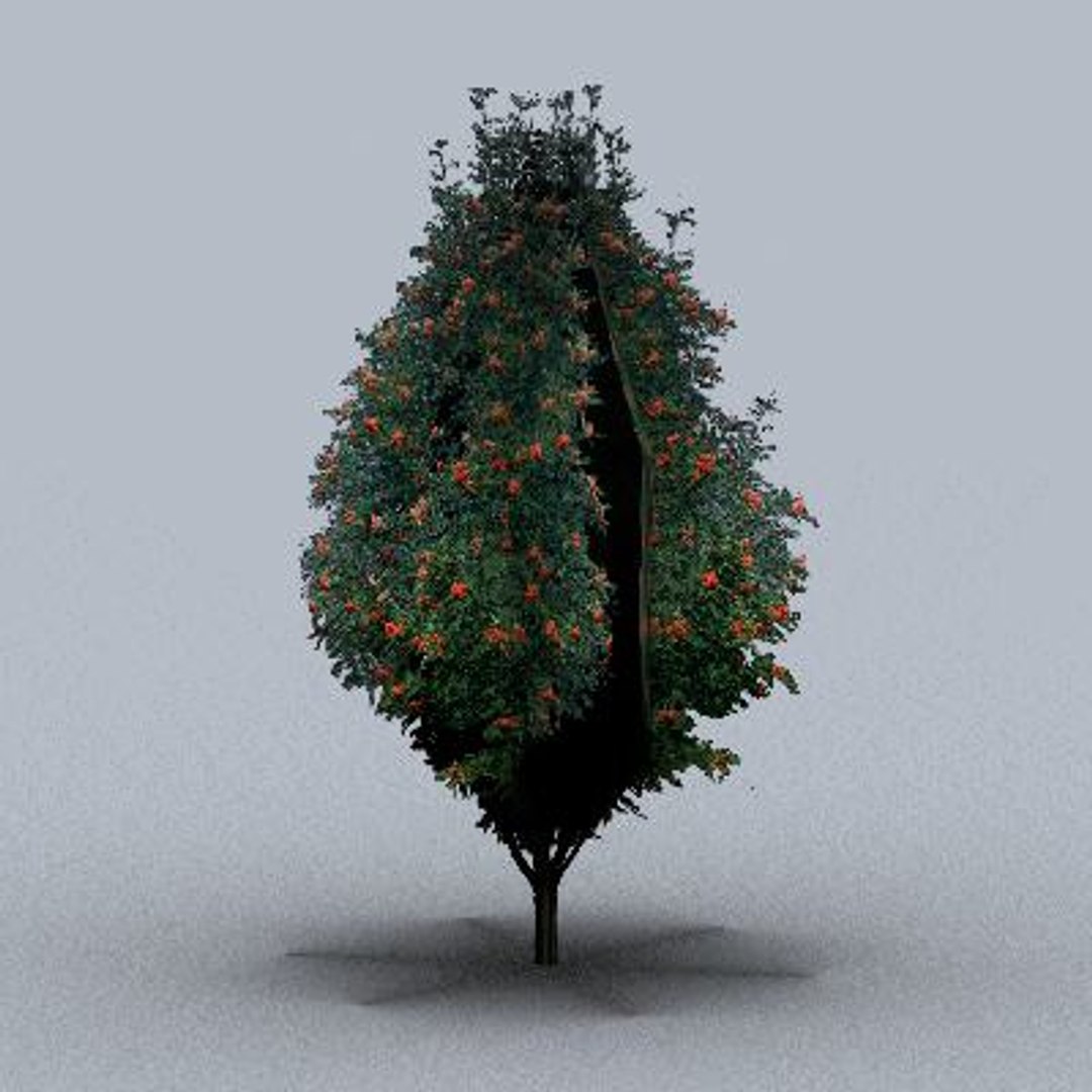3d model trees