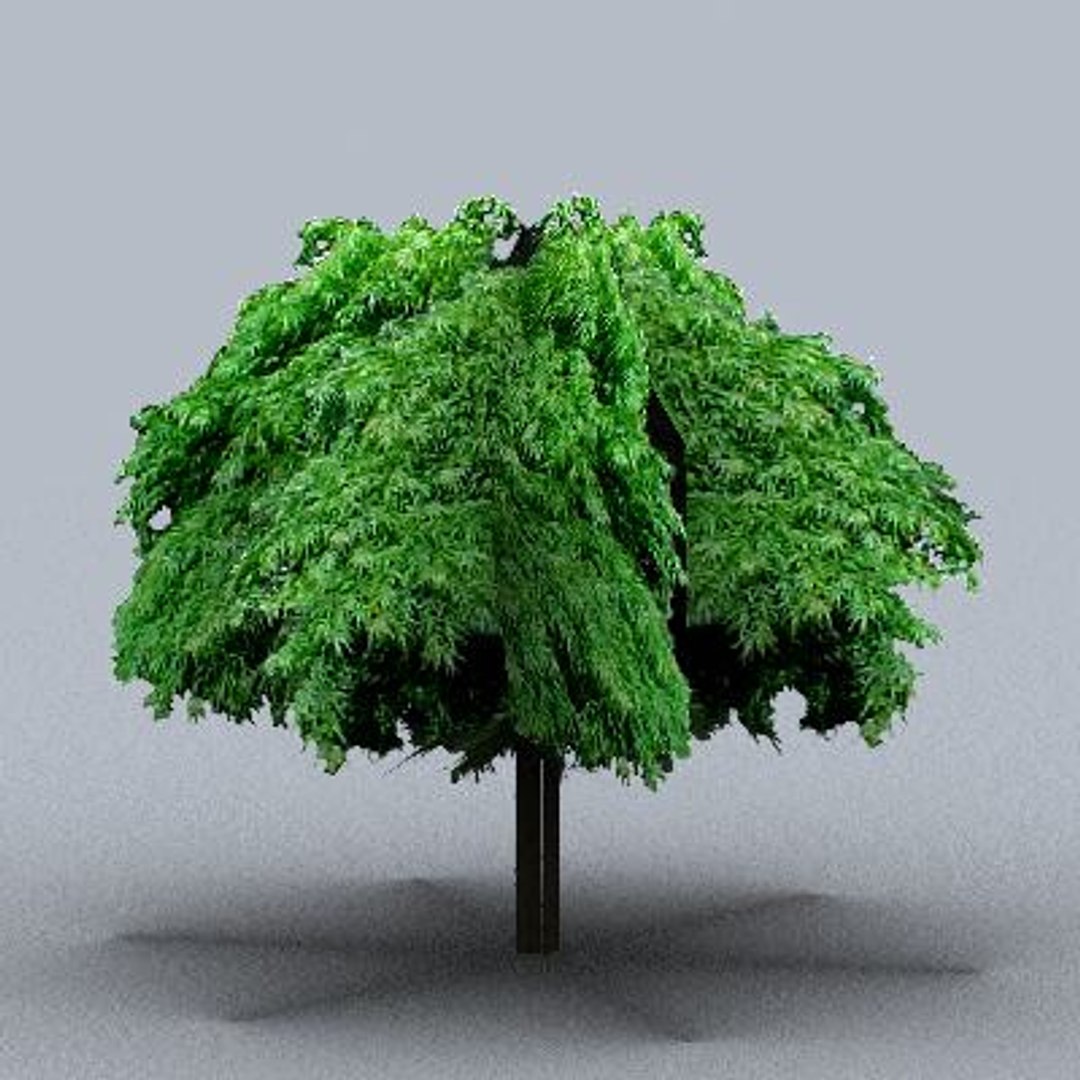 3d model trees