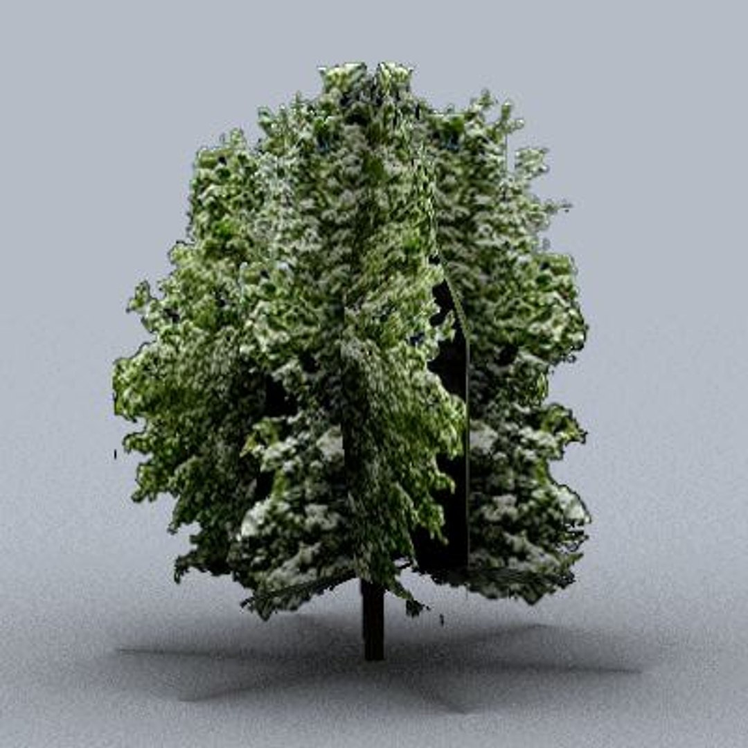 3d model trees