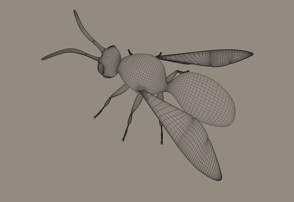 3D yellow wasp - TurboSquid 1609408