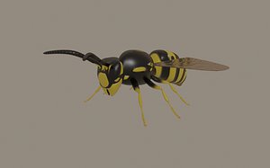 Wasp STL Models for Download | TurboSquid