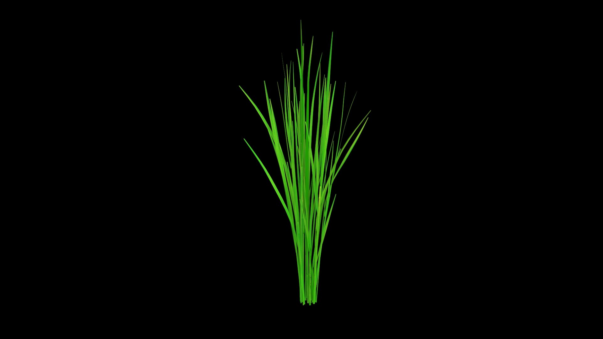 PADDY DUST FINAL TEXTURE MAX 2012 3D Model - TurboSquid 2089259