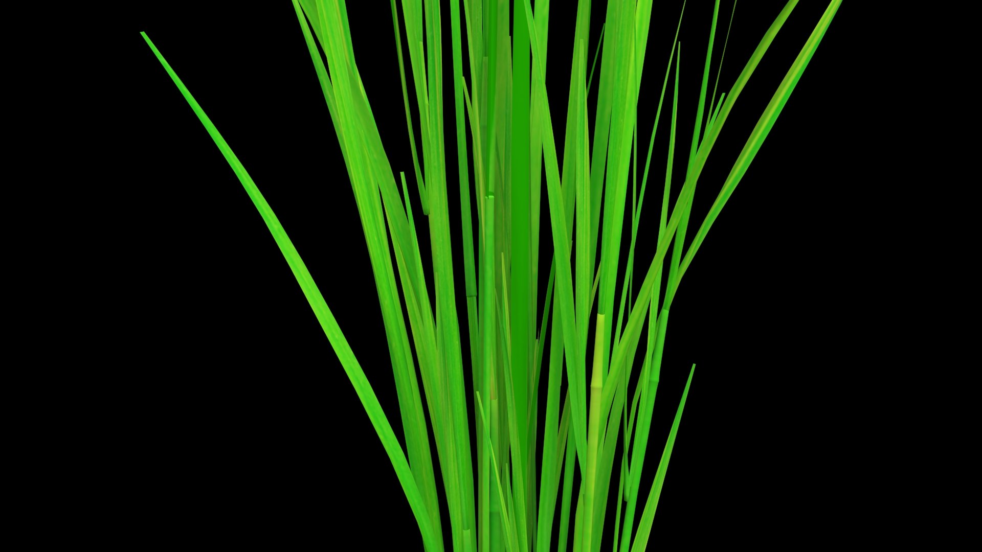 PADDY DUST FINAL TEXTURE MAX 2012 3D Model - TurboSquid 2089259