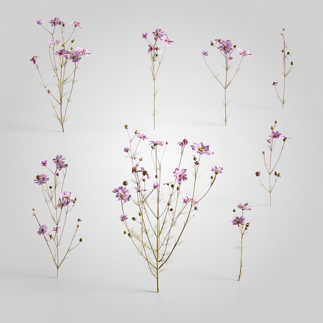 3D archmodels vol 235 - TurboSquid 1601706