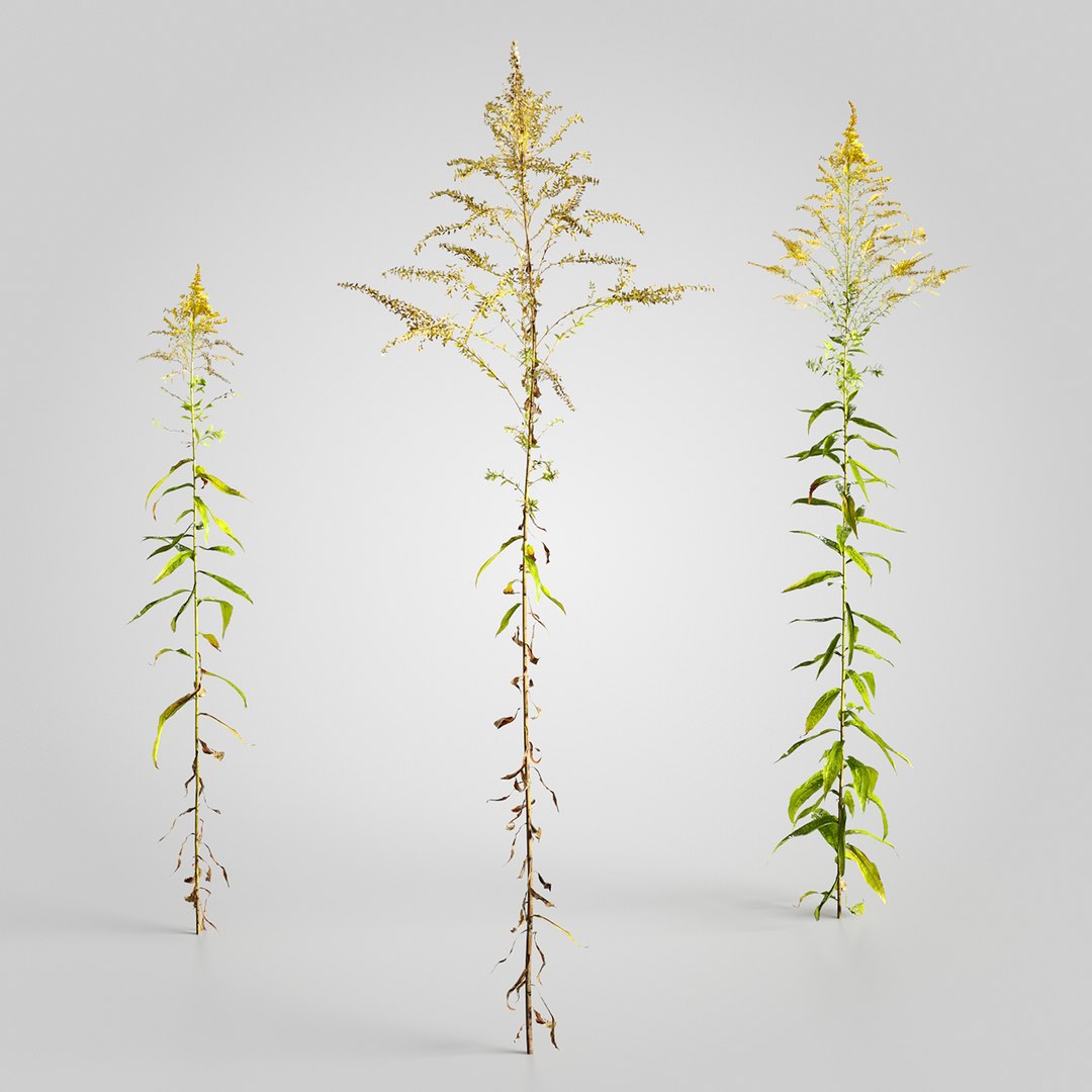 3D archmodels vol 235 - TurboSquid 1601706