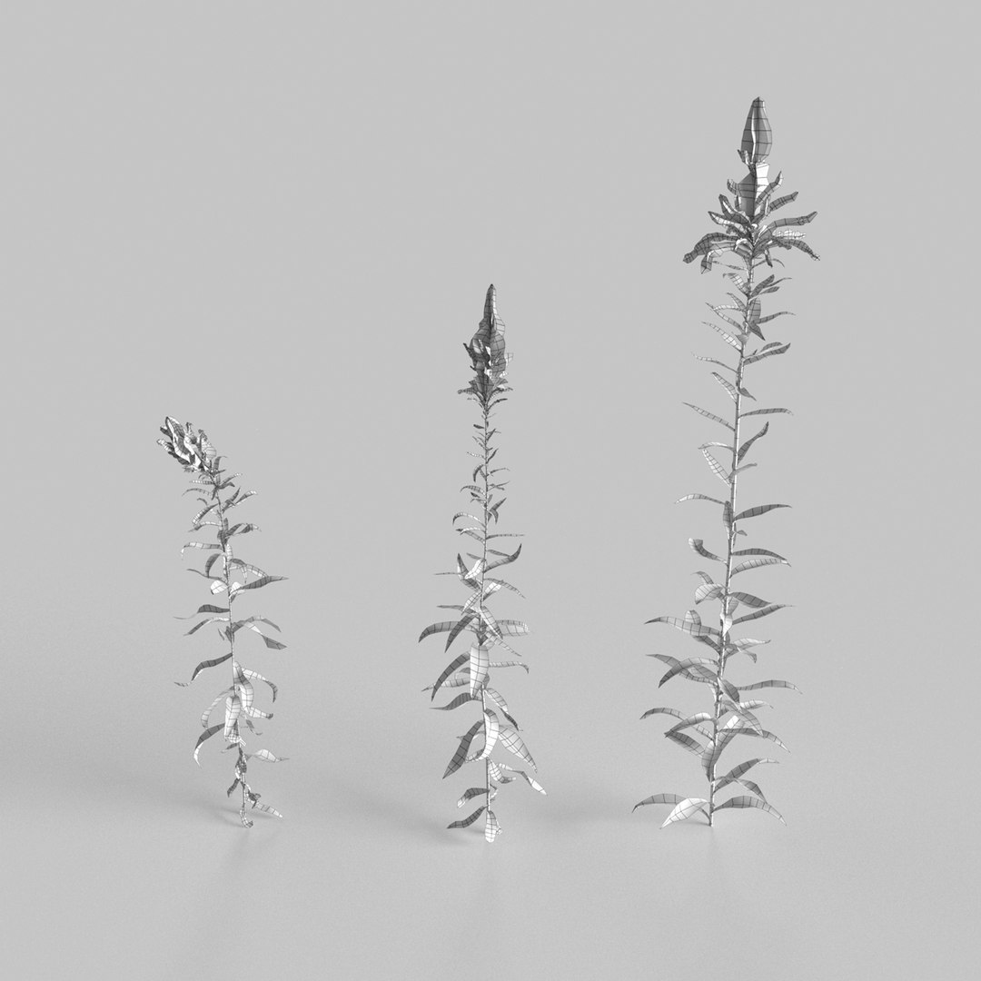 3D archmodels vol 235 - TurboSquid 1601706