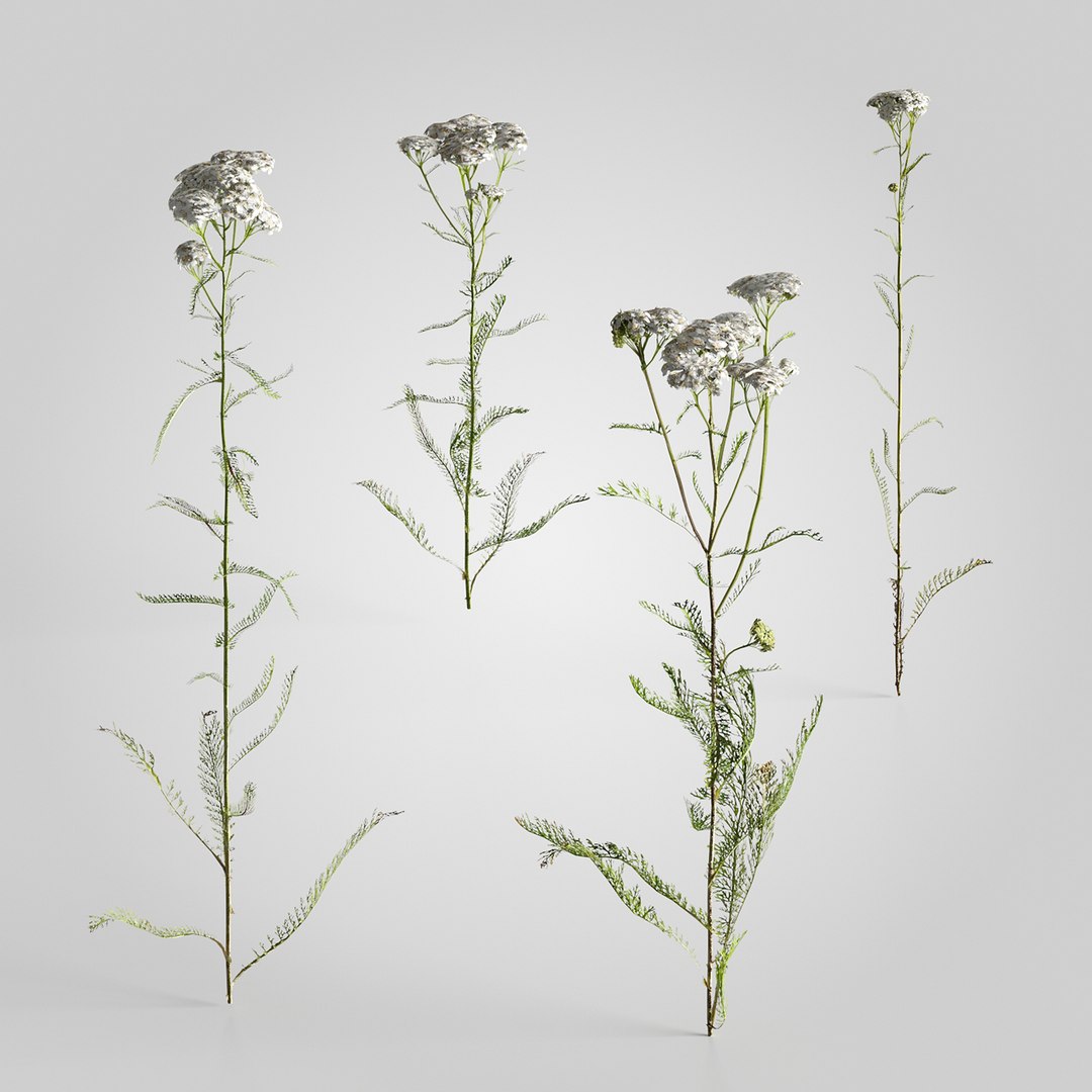 3D Archmodels Vol 235 - TurboSquid 1601706