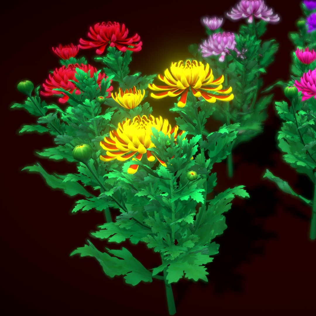 modelo 3d Flor Crisantemo Morifolium Low-poly 3D mode - TurboSquid 1480565