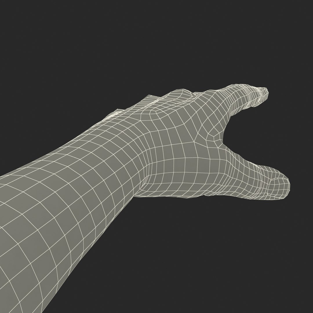 3d Man Hands Model