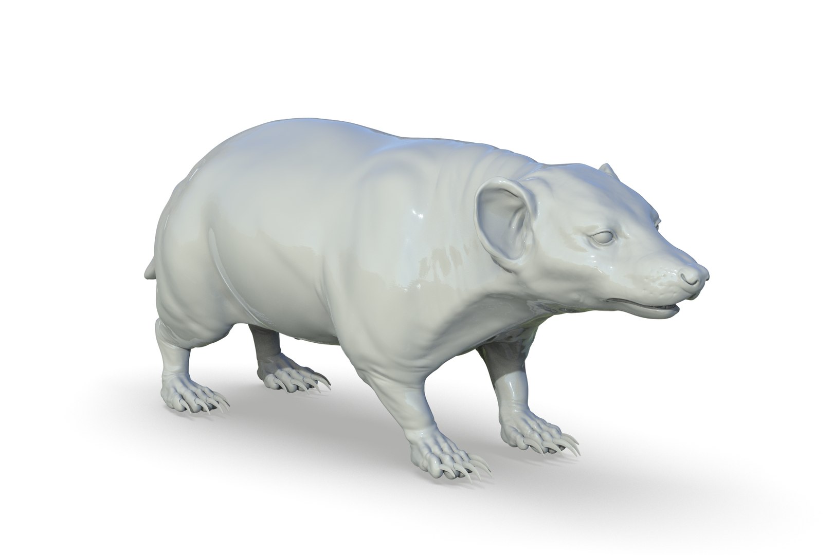 Badger 3D Model - TurboSquid 2205836