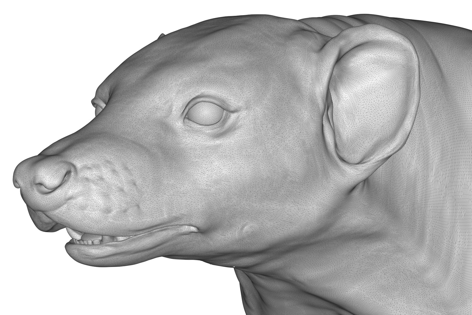 Badger 3D Model - TurboSquid 2205836