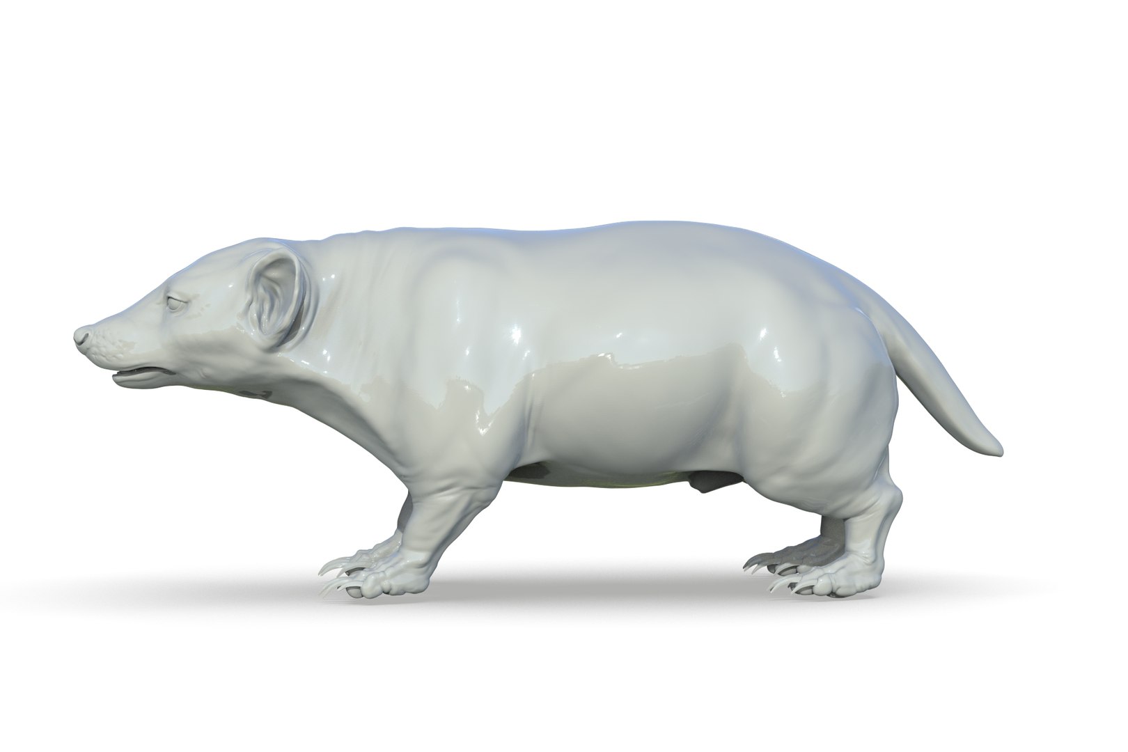 Badger 3D Model - TurboSquid 2205836