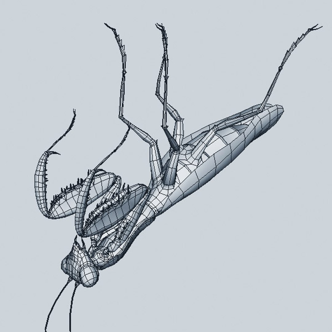3dsmax Praying Mantis