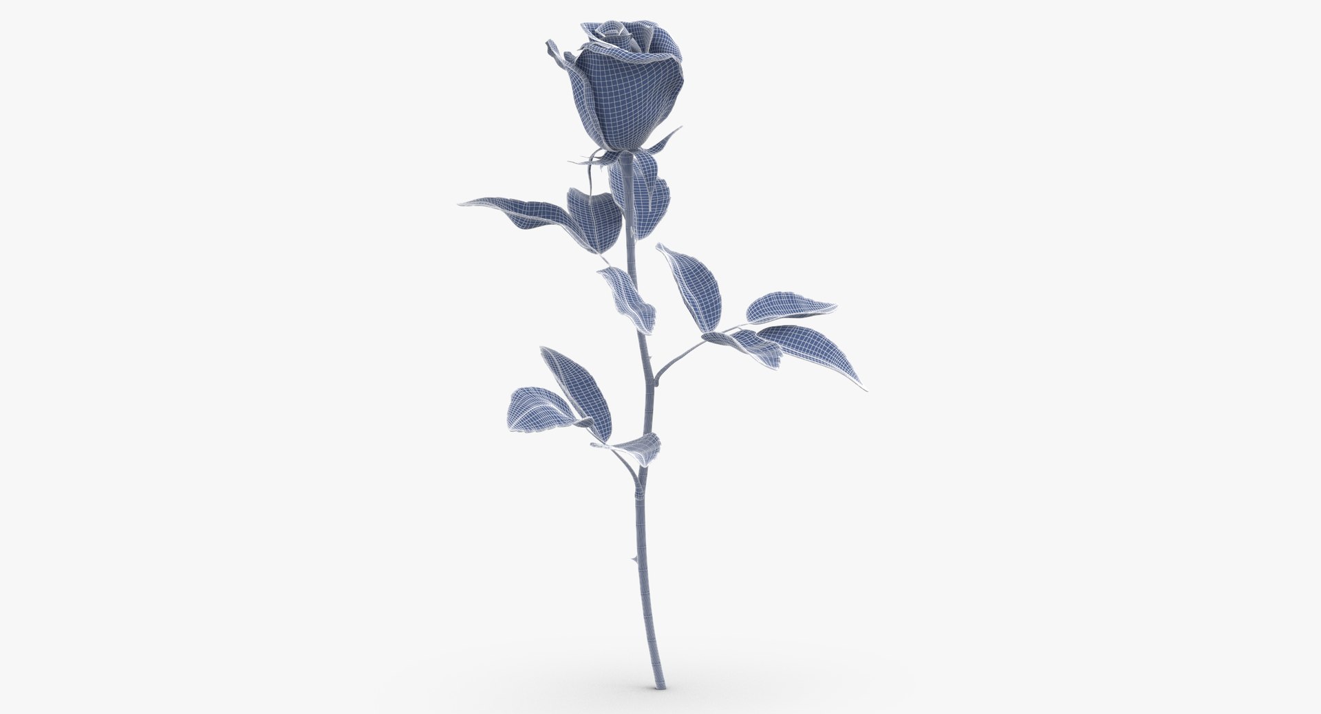 3D rose white - model - TurboSquid 1344356