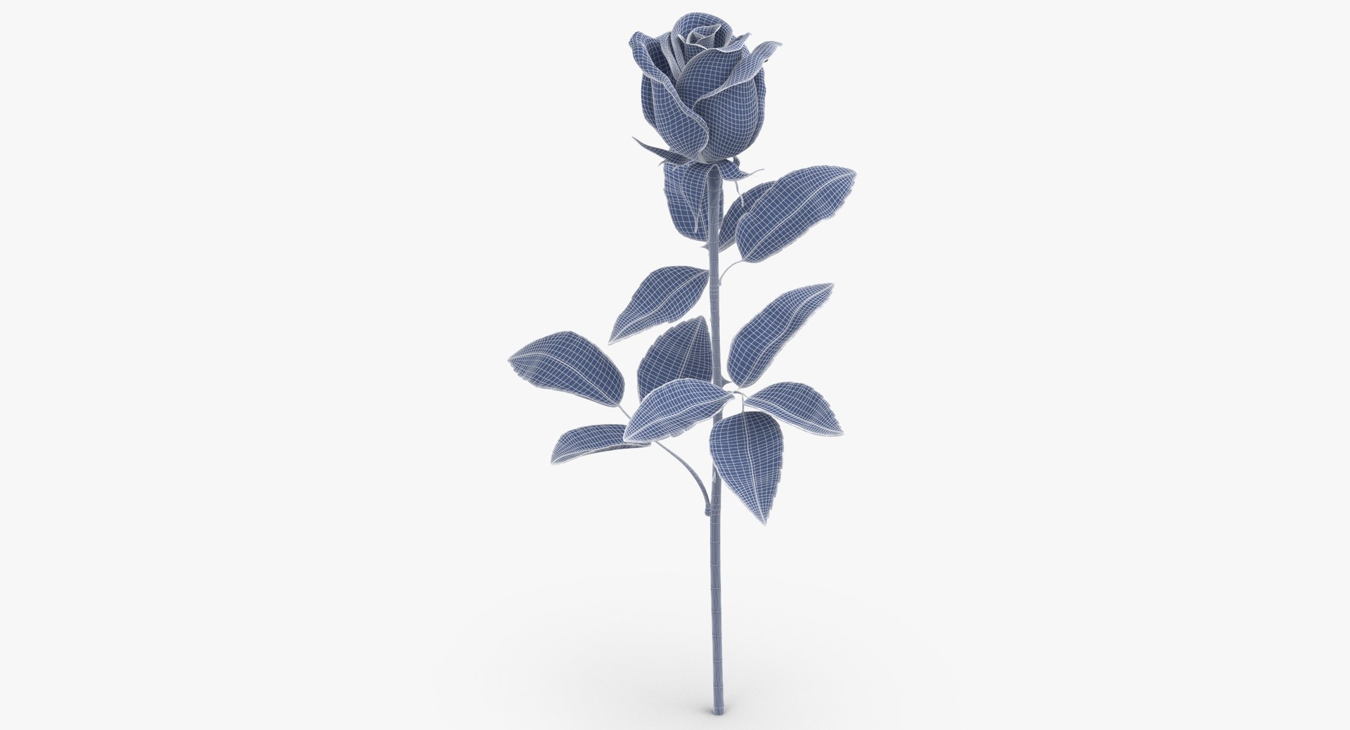3D Rose White - Model - TurboSquid 1344356