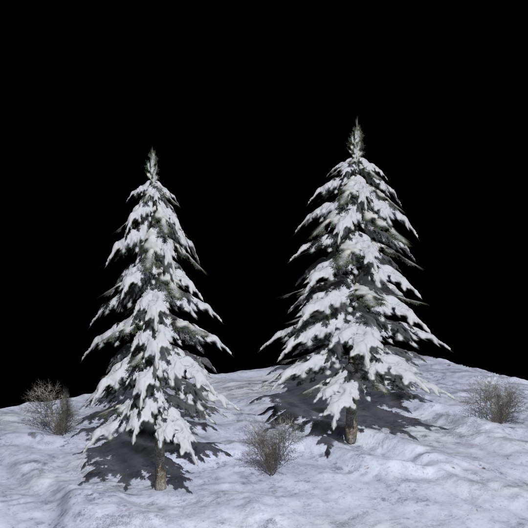 pine tree covered snow 3d model