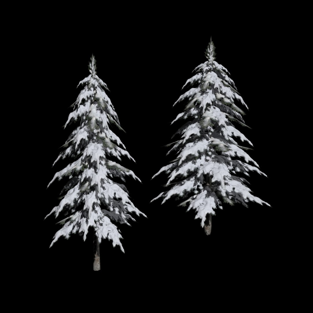 pine tree covered snow 3d model