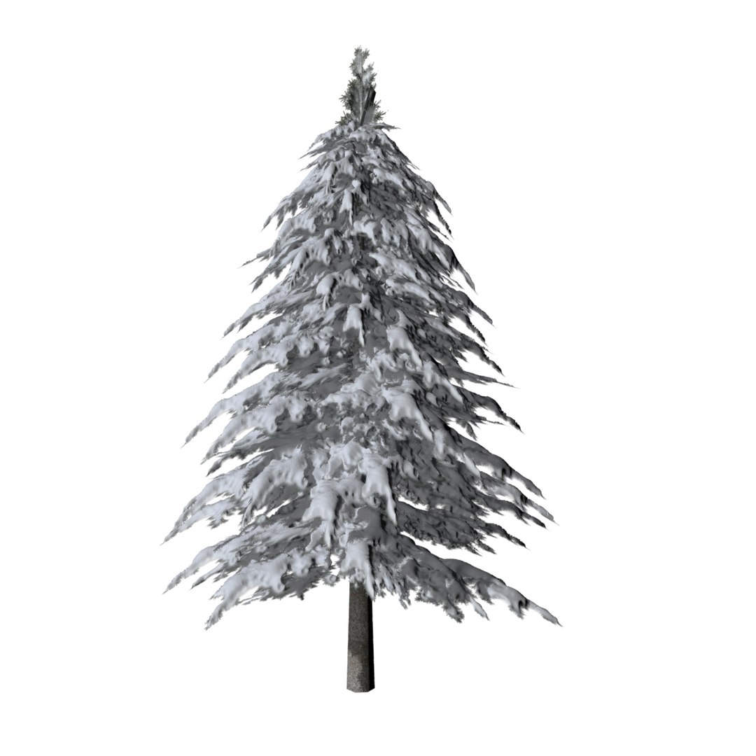 pine tree covered snow 3d model