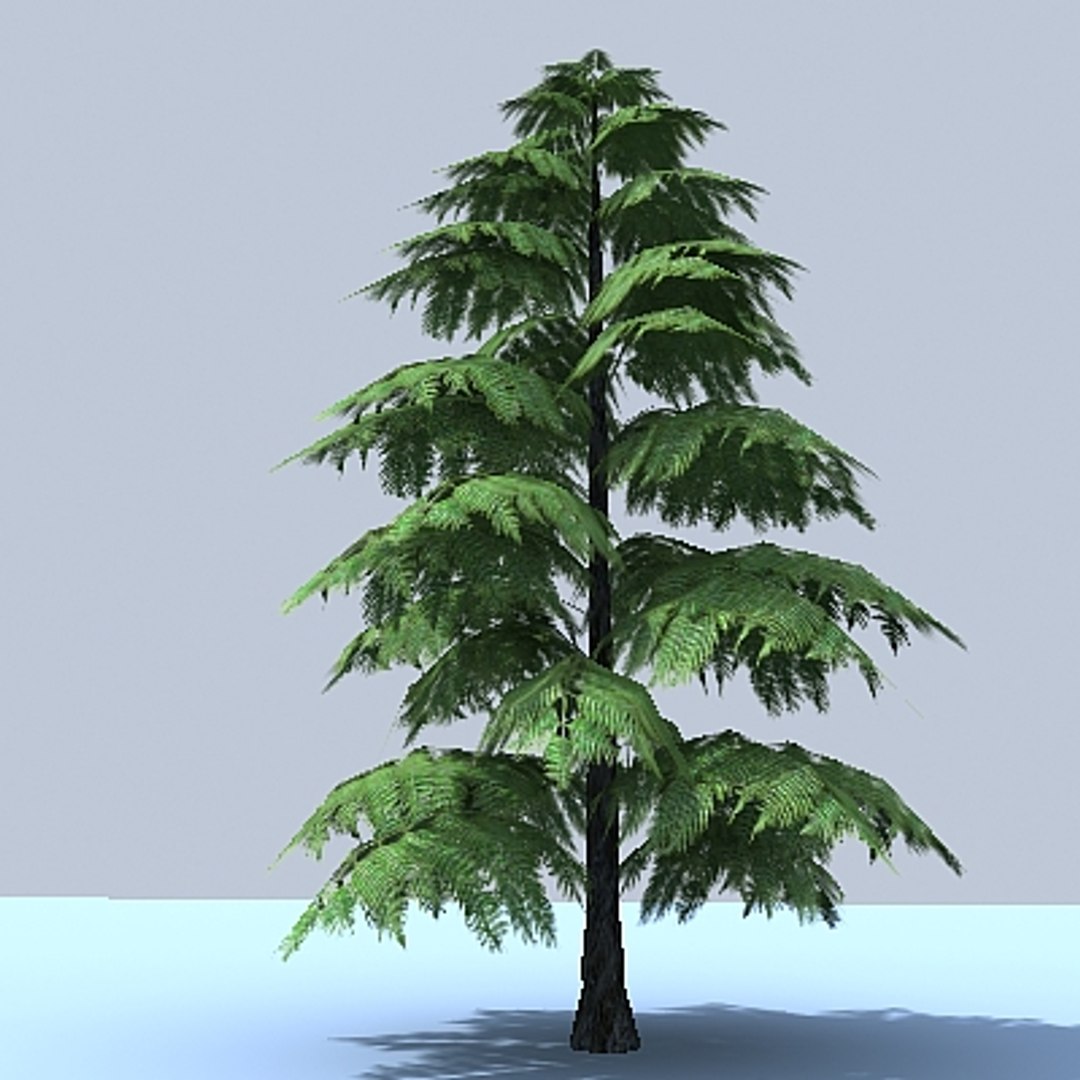 3d tree