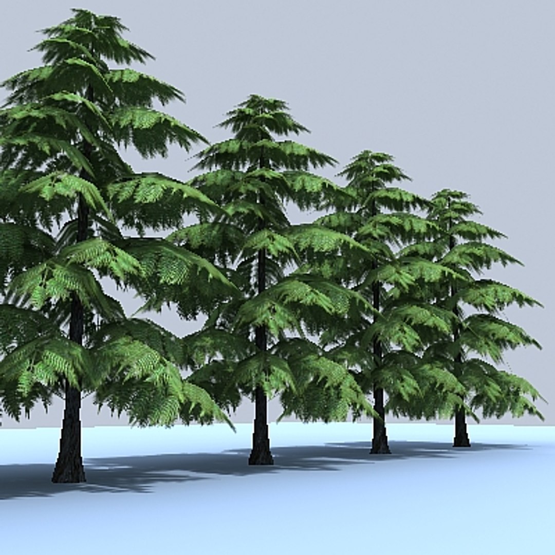 3d tree