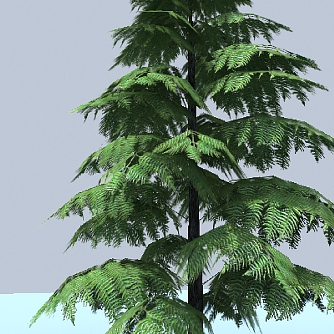 3d tree