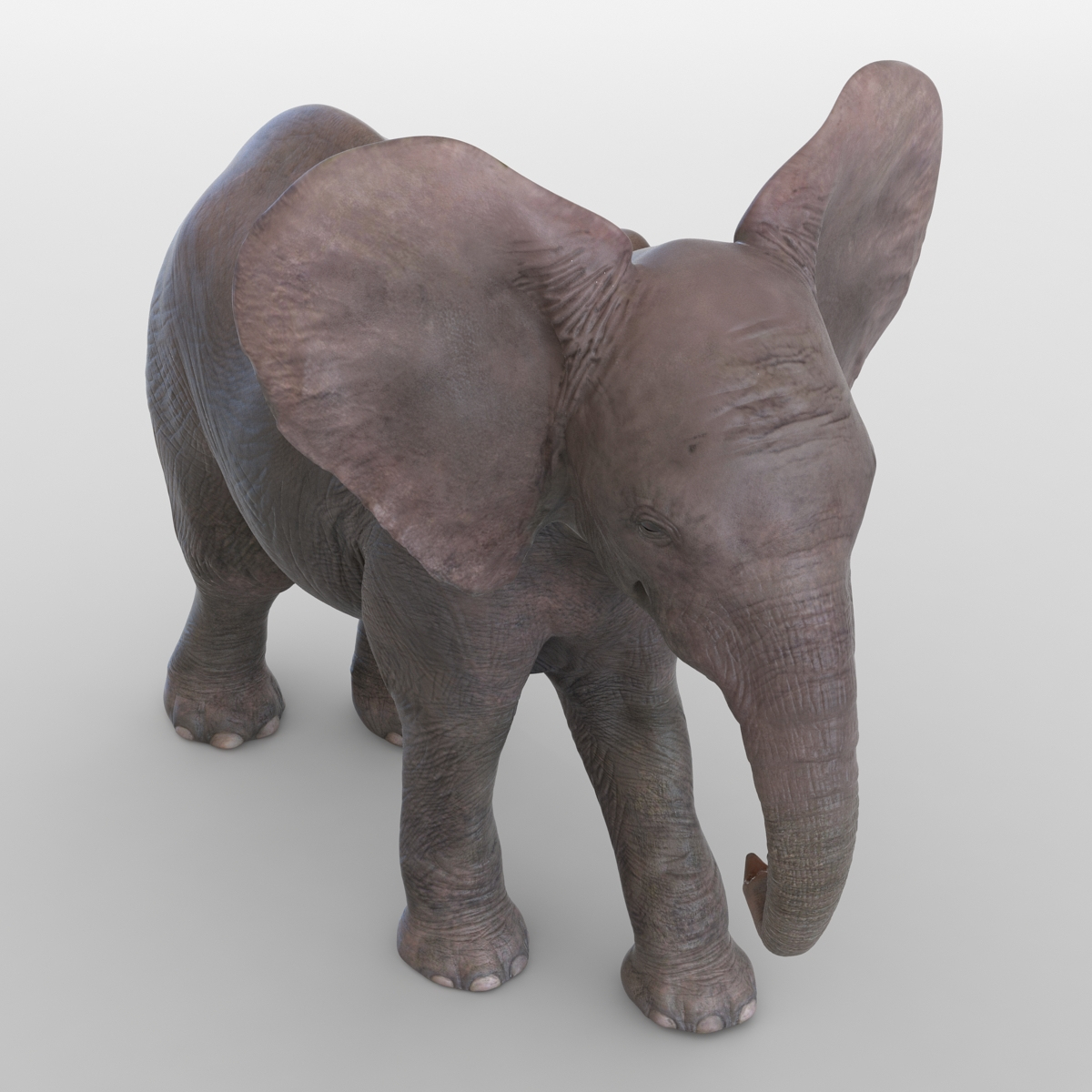 3d model baby elephant rigged